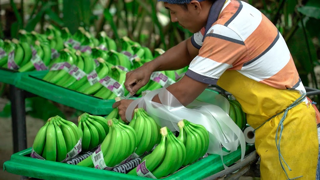 Ecuador plantea políticas públicas a favor de mujeres en la industria ...