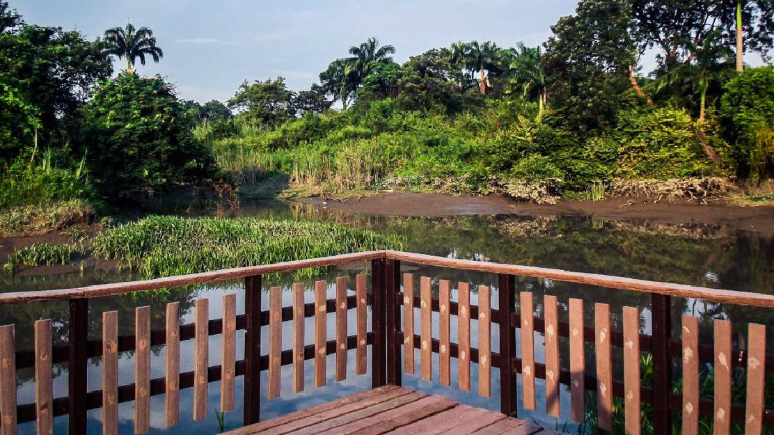 Prefecta del Guayas insiste en asumir competencia de la Isla Santay ...