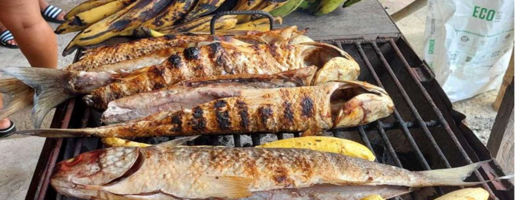 Identifican un parásito en un tipo de pez muy consumido en Ecuador ...